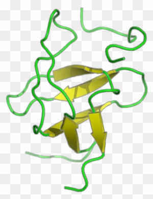 Sooper Frog - Illustration - Free Transparent PNG Clipart Images Download