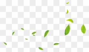 Green Small Leaves - Free Transparent PNG Clipart Images Download