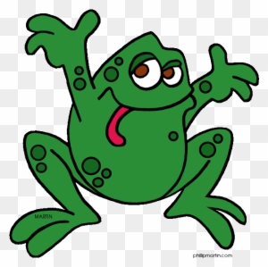 Amphibian Clipart Rainforest Animal Pencil And In Color - Frog - Free ...