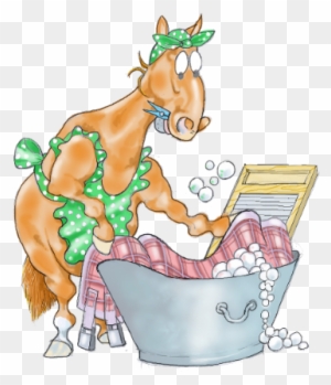 Kate Scurfield Horse Image - Kate Scurfield - Free Transparent PNG ...