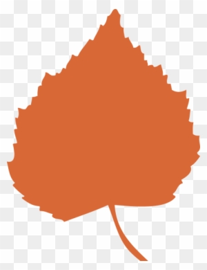 Chaga Tea Birch Leaf - Chaga Mushroom - Free Transparent PNG Clipart ...