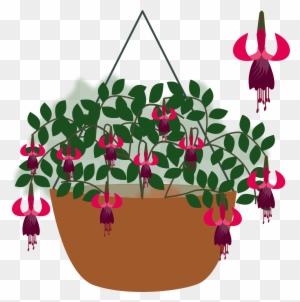 Big Image - Container Garden - Free Transparent PNG Clipart Images Download