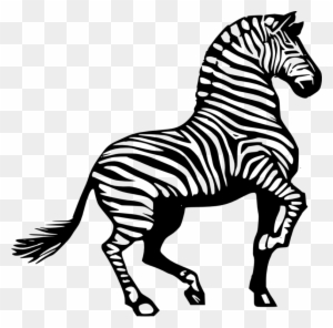 Free Download Images 2018 Zebra Clipart No Background - Zebra Drawing ...