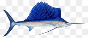 Blue Fin Fish, Transparent PNG Clipart Images Free Download - ClipartMax