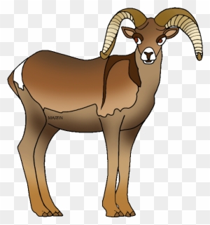 View Shadow Sheep Front Horns Animal Bighorn - Ram Clipart - Free ...