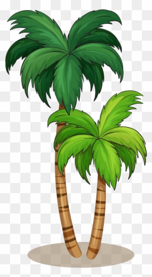 Tropicana Tree Coconut Euclidean Vector - Illustrator Coconut Tree ... Tropicana Tree Coconut Euclidean Vector - Illustrator Coconut Tree ...