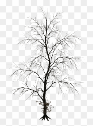 Haunted Tree - Dark Tree Png - Free Transparent PNG Clipart Images Download