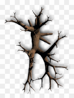 24 Mar 2009 - Dead Tree Top View Png - Free Transparent PNG Clipart ...