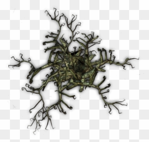 24 Mar 2009 - Dead Tree Top View Png - Free Transparent PNG Clipart ...