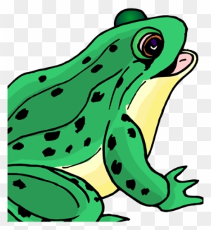 Toad Clipart Frog Egg - Life Cycle Of S Frog - Free Transparent PNG ...