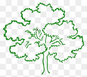Clip Art Tree Outline - Tree Clipart - Free Transparent PNG Clipart ...