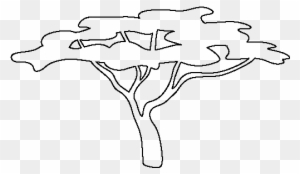 28 Collection Of African Tree Drawing - Draw A African Tree - Free ...