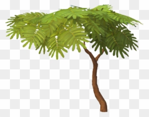 Acadia Logs - Palm Tree - Free Transparent PNG Clipart Images Download