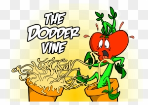 Doddervine01 - Dodder Plant On Tomato - Free Transparent PNG Clipart ...