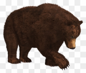 Bear Png - Brown Bear Png - Free Transparent PNG Clipart Images Download
