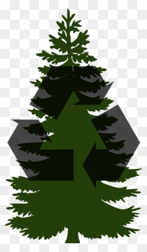 Clip - Art - Pine - Tree - Pine Tree Clipart Png - Free Transparent PNG ...
