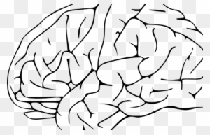 Clipart Of Brain Clip Art Of Brain Clipart - Drawing Of Cartoon Brain ...