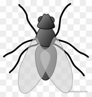 Bugs Clipart Animated - Cartoon Images Of Insect - Free Transparent PNG ...