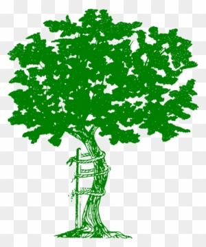 Orthopedics Symbol Tree - Orthopedic Symbol Tree - Free Transparent PNG ...