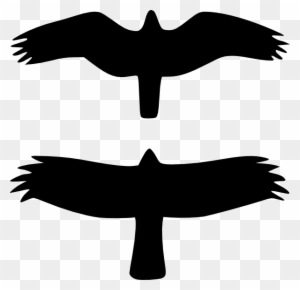 Bird Top View Png - Free Transparent PNG Clipart Images Download