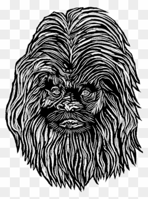 Photo - Dog Breed - Free Transparent PNG Clipart Images Download