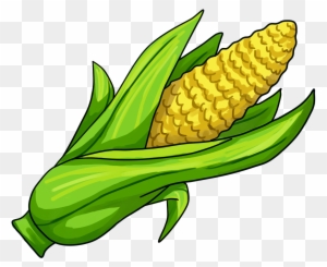 Maize Drawing Photography Illustration - Sweet Corn Pictures Cartoon ...