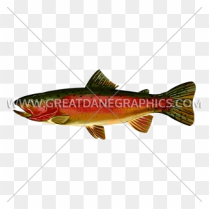Trout Clipart - Greenback Cutthroat Trout Cartoon - Free Transparent ...