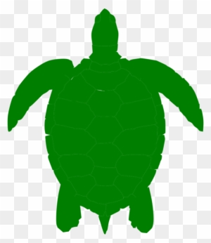 Green Turtle Clip Art