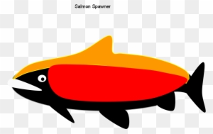 Chinook Salmon Clip Art - Coho Salmon Clip Art - Free Transparent PNG ...