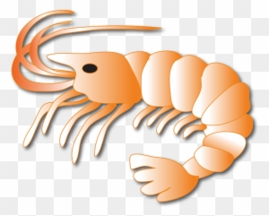 Decapods - Free Transparent PNG Clipart Images Download
