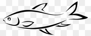 Fish Line Drawing - Simple Fish Outline - Free Transparent PNG Clipart ...