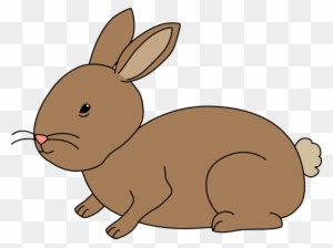 Rabbit Clipart, Transparent PNG Clipart Images Free Download - ClipartMax