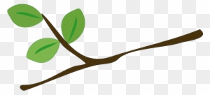 Vector Gratis Rbol Rama Hojas Verde Ramas Imagen Ramas - La Rama De Un ...