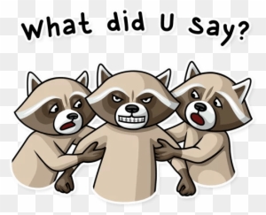 Transparent Png Sticker - Raccoons - Free Transparent PNG Clipart ...