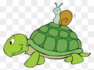 Tortoise Vs Snail Speed Race - Toto Turtle Time To Tuck And Think ...