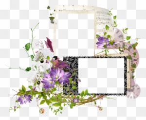 Double Frames With Flowers - Picture Frame - Free Transparent PNG ...