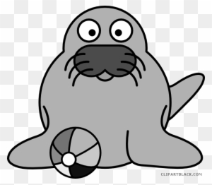 Seal Animal Free Black White Clipart Images Clipartblack - Line Art ...