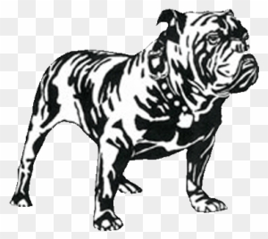 Bulldog Vector Art - Bulldog Vector Png - Free Transparent PNG Clipart ...