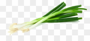 Green Onion Transparent Png - Green Onion Transparent Background - Free ...