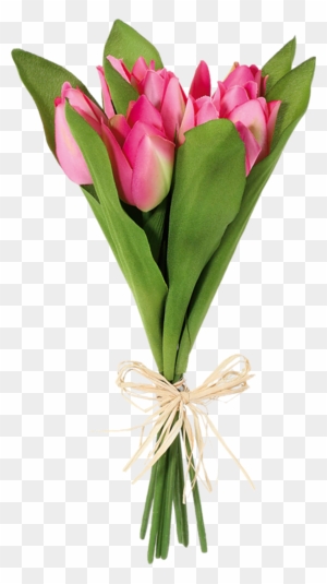 Png Lale, Png Tulips, Png Lale Resimleri, Png Tulips - Gif Animados De ...