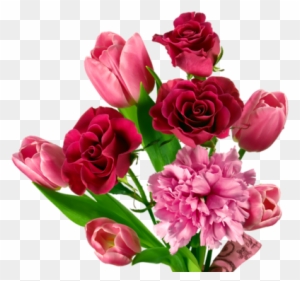 Png Lale, Png Tulips, Png Lale Resimleri, Png Tulips - Buon San ...