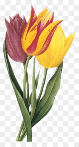 Vintage Clip Art, Transparent PNG Clipart Images Free Download , Page ...