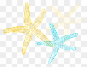 Clipart Sea Star Top 83 Free Image - Cute Starfish Clipart - Free ...