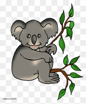 Fun2draw Koala