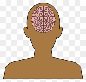 Body And Brain - Illustration - Free Transparent PNG Clipart Images ...