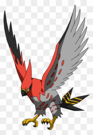 Talonflame By Uraharataichou Talonflame By Uraharataichou - Manga ...