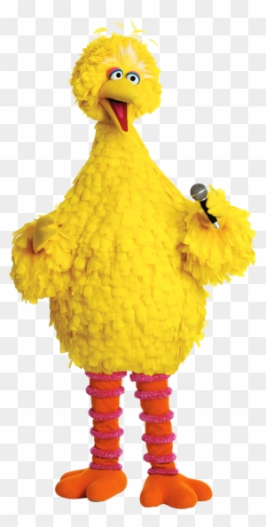 Big Bird Png 15 Big Bird Face Png For Free Download - Big Bird Sesame ...