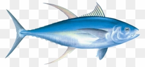 Nutrition From Fish & Sea Food - Yellow Fin Tuna - Free Transparent PNG ...