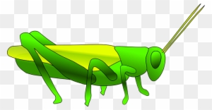 Grass Hopper Green Insect Grasshopper Jump - Cartoon Grasshopper - Free ...