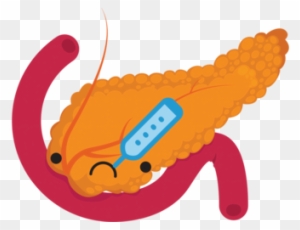 Pancreas Free Icon - Pancreas Svg - Free Transparent PNG Clipart Images ...